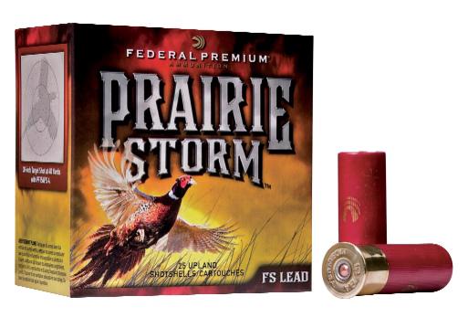 Prairie Storm